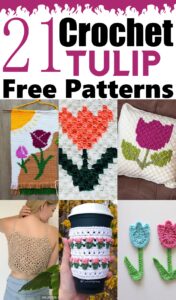 21 Free Crochet Tulip Patterns To Bring Spring Vibe!