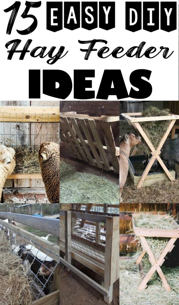 15 DIY Hay Feeder Ideas To Feed Livestock Without Your Presence